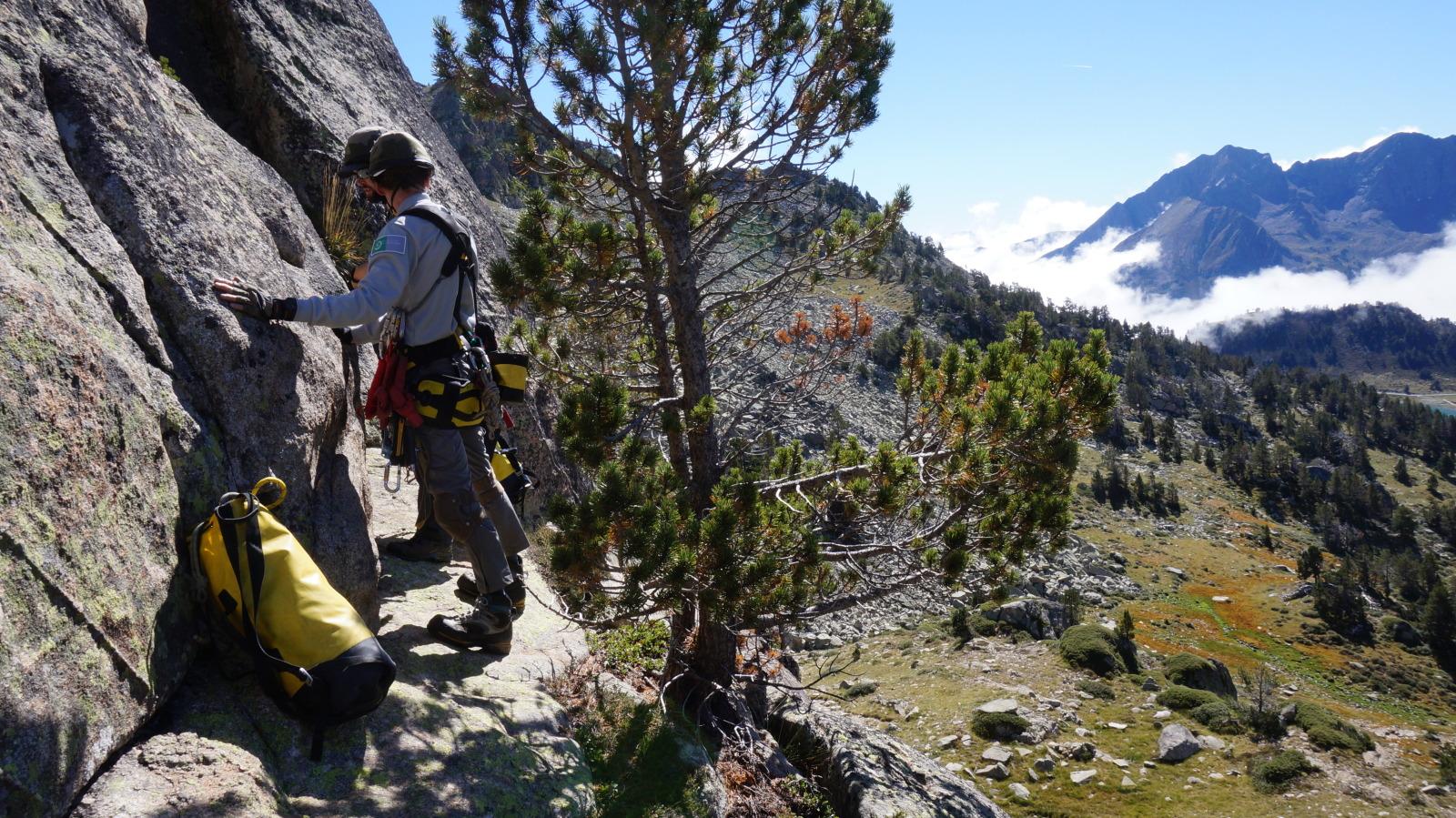 Partager pour mieux préserver | Parc national des Pyrénées