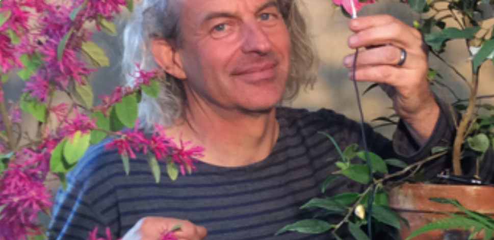 "CYCLE PLANTES" : Balade botanique sonore avec Jean Thoby | Parc ...